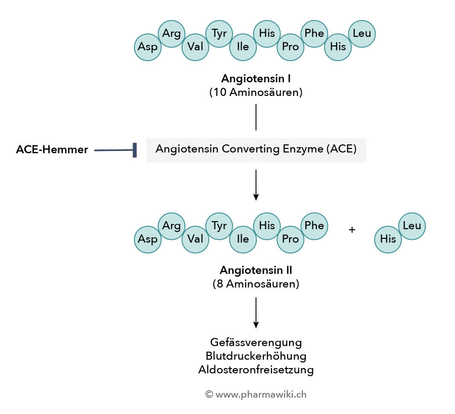 PharmaWiki - ACE-Hemmer