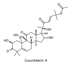 PharmaWiki - Giftige Zucchetti?