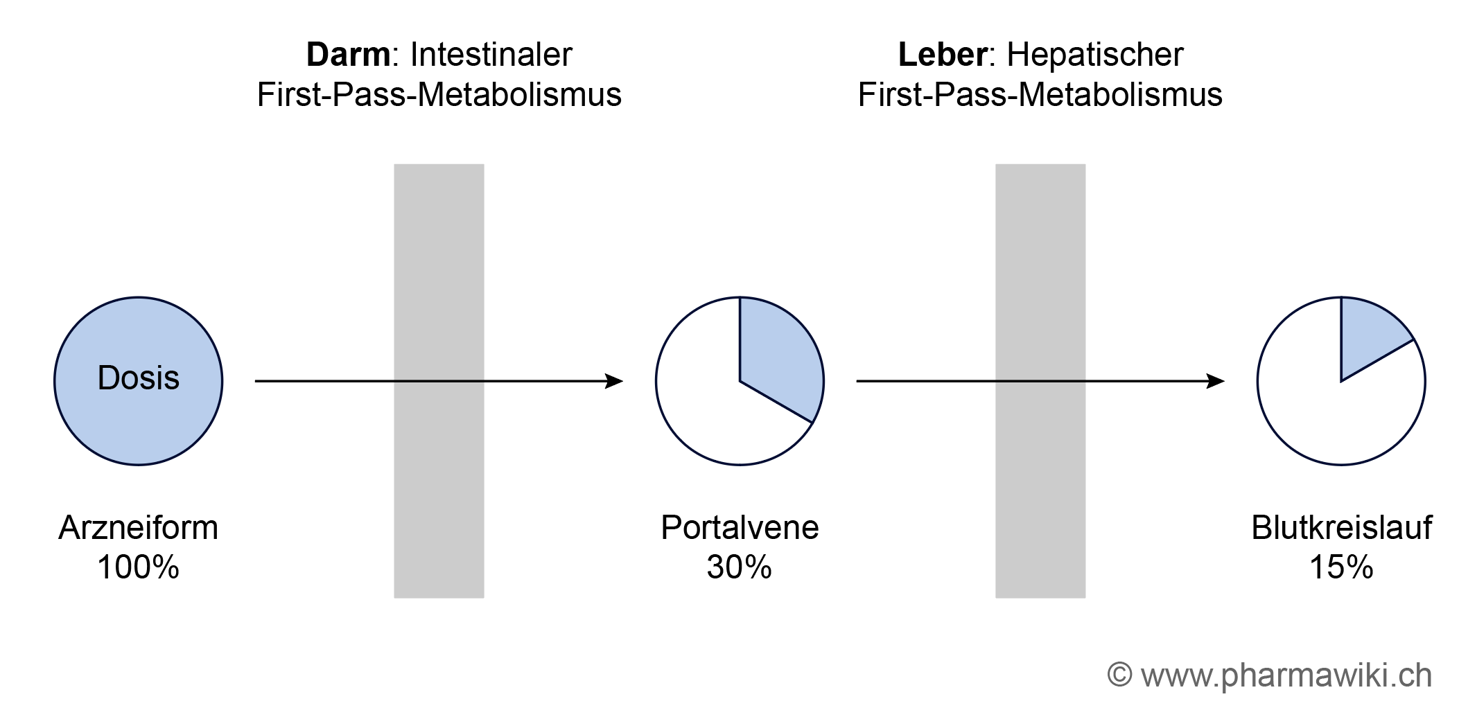 PharmaWiki - First-Pass-Metabolismus