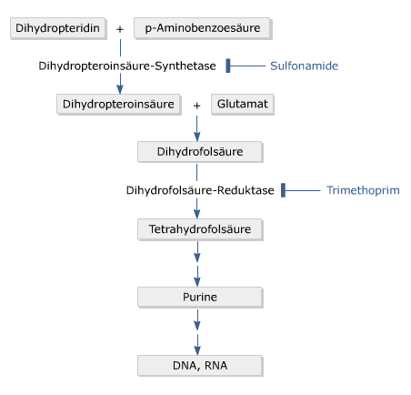 PharmaWiki - Sulfonamide
