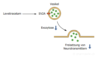 PharmaWiki - Levetiracetam